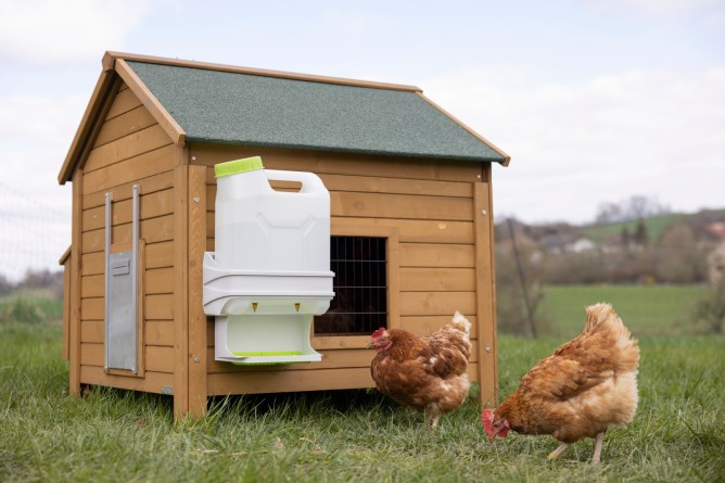 SmartCoop Geflügeltränke,H ... - Albert Kerbl GmbH