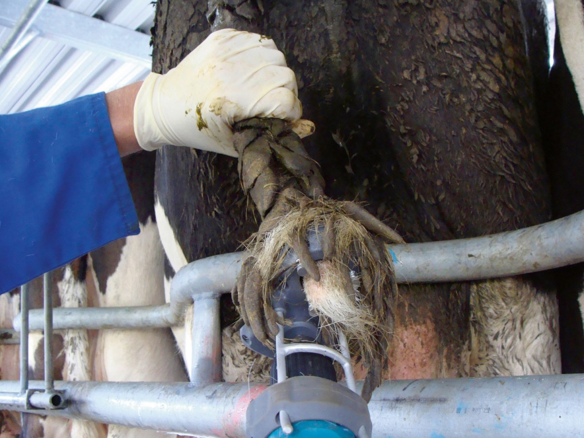 Cow Tail Trimmer TailWell, ... - Albert Kerbl GmbH