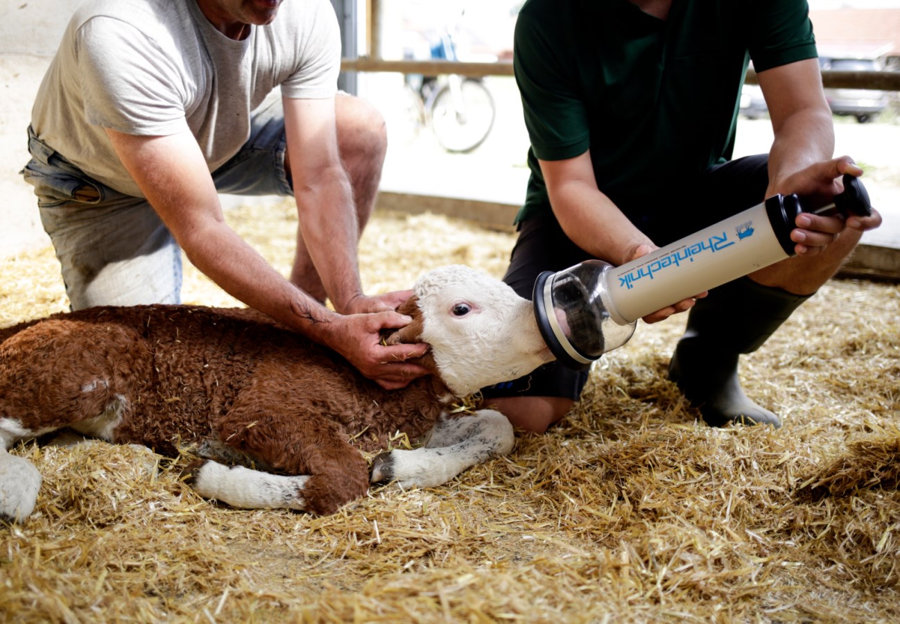 HK Calf Resuscitator,Agric ... - Albert Kerbl GmbH