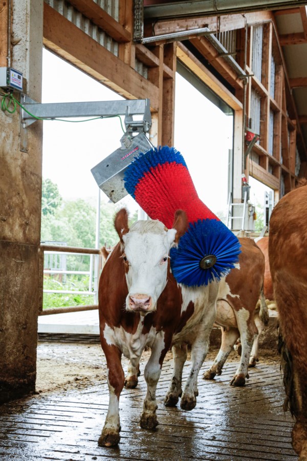 Cow Cleaning Machine HAPPY ... - Albert Kerbl GmbH