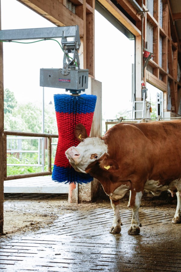 Cow Cleaning Machine HAPPY ... - Albert Kerbl GmbH