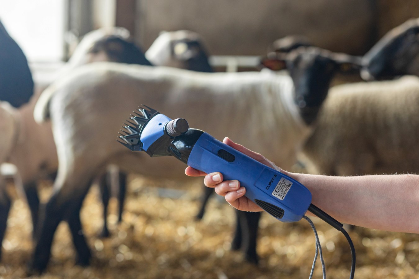 Sheep Shearing Machine Far ... - Albert Kerbl GmbH