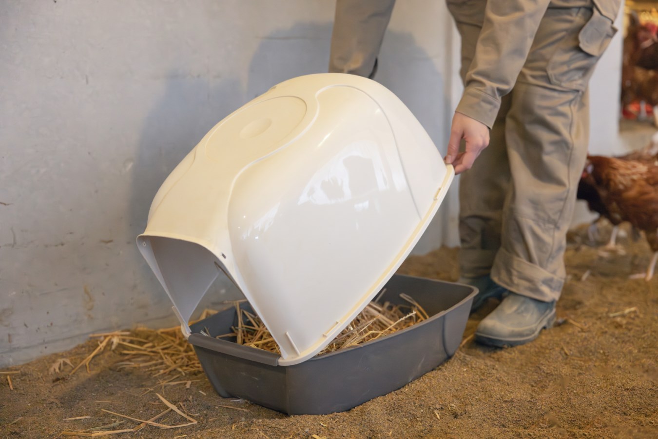 Laying Nest,Hobby Farming, ... - Albert Kerbl GmbH