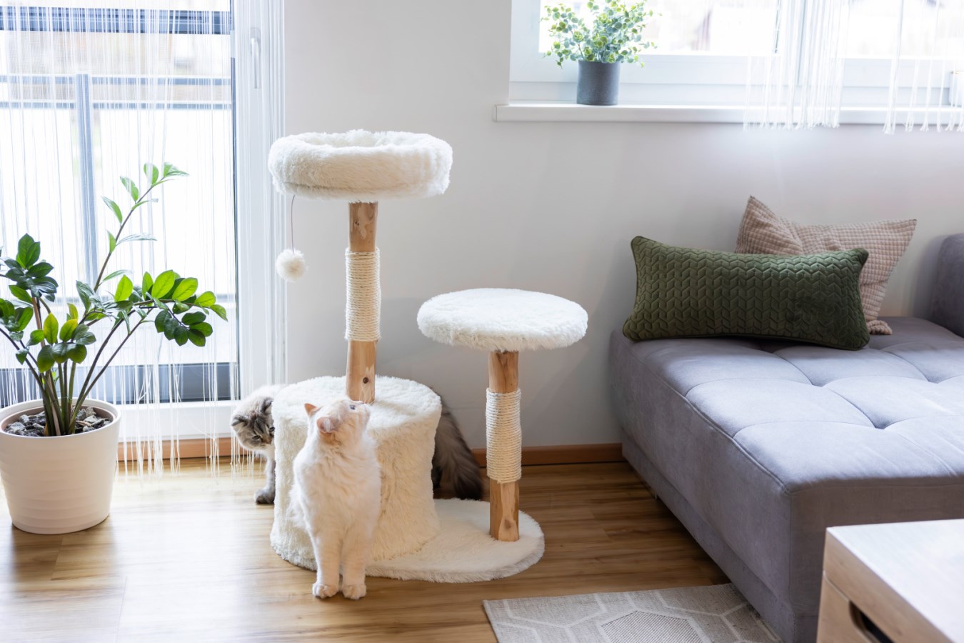 Cat Tree Lucia,Pet,New pro ... - Albert Kerbl GmbH