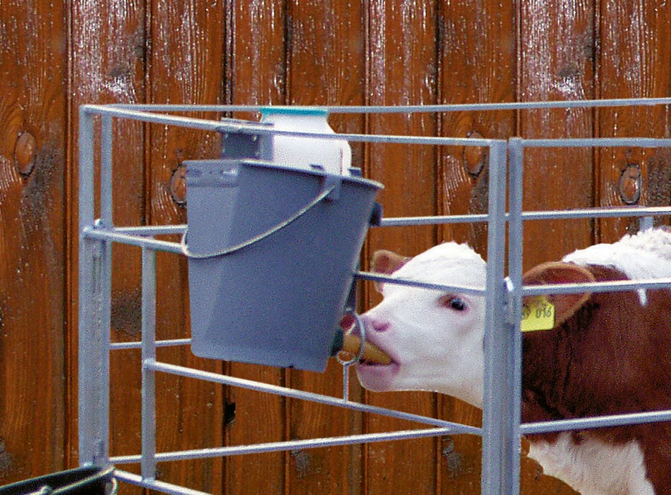 Calf Feeding Bucket,Agricu ... - Albert Kerbl GmbH