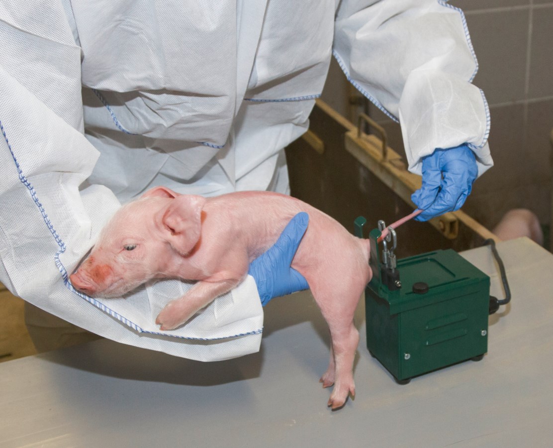 Tail Docker with Transform ... - Albert Kerbl GmbH