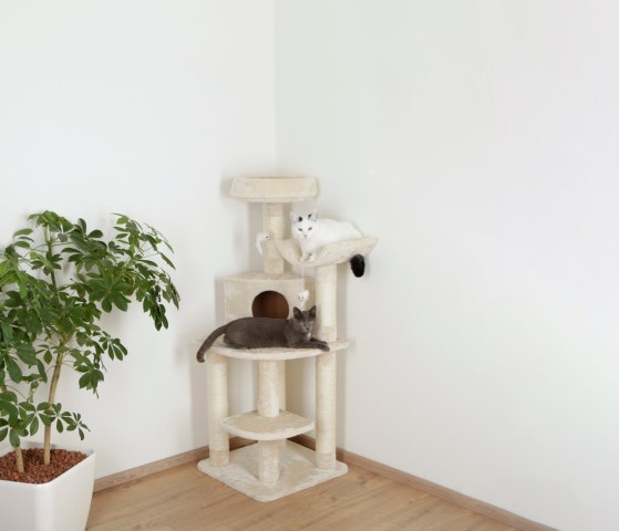 Corner Cat Tree Zirkonia,P ... - Albert Kerbl GmbH