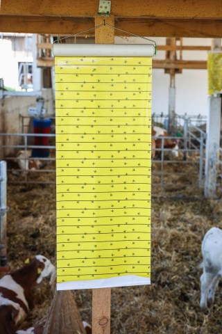 cit Fly Roll FlyMaster,Sta ... - Albert Kerbl GmbH