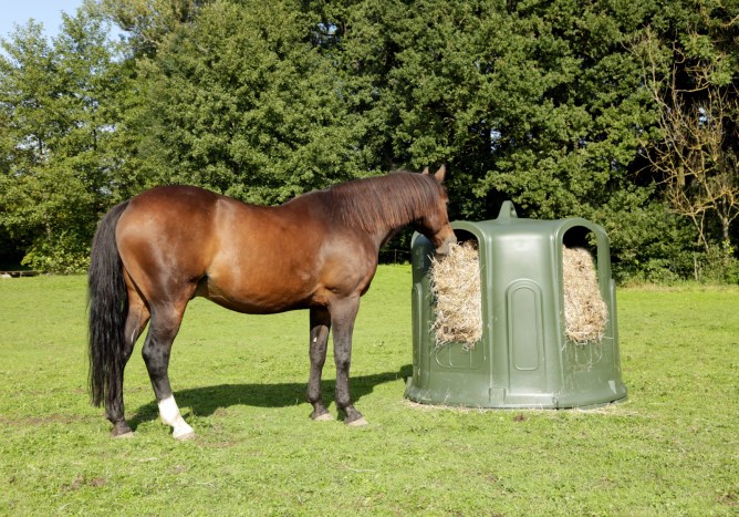 Hay Bell for Round Bales,S ... - Albert Kerbl GmbH