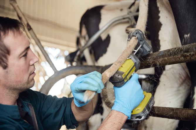 Cow Tail Trimmer TailWell, ... - Albert Kerbl GmbH