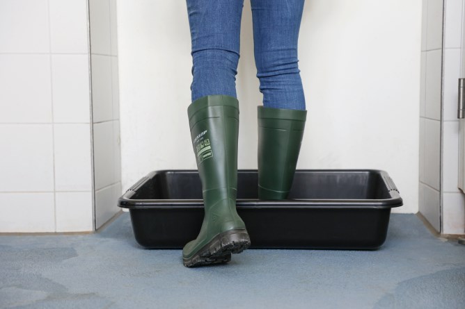Boot disinfectant bath Pre ... - Albert Kerbl GmbH