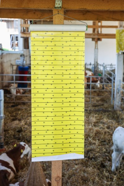 cit Fly roll FlyMaster,Sta ... - Albert Kerbl GmbH