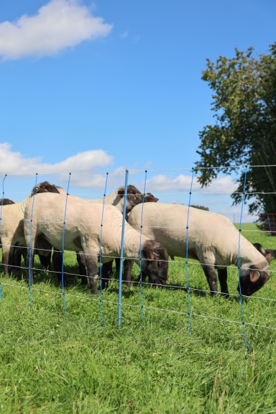 AKO TitanNet Premium Plus, ... - Albert Kerbl GmbH