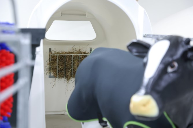 Hay Rack,Horses,Feeding,Fe ... - Albert Kerbl GmbH