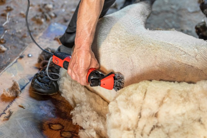 Sheep Shearing Machine Far ... - Albert Kerbl GmbH