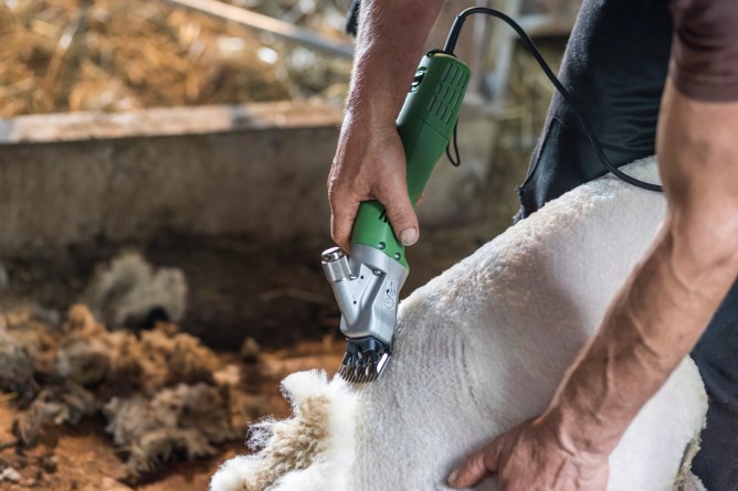 Sheep Shearing Machine con ... - Albert Kerbl GmbH