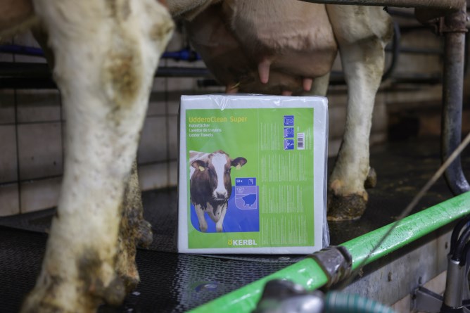 Udder Cloth UdderoClean Su ... - Albert Kerbl GmbH