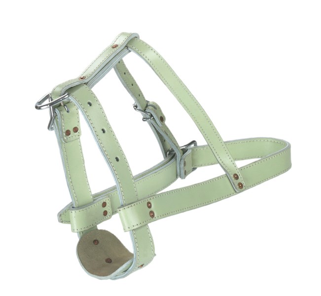 Bull Halter,Agricultural S ... - Albert Kerbl GmbH