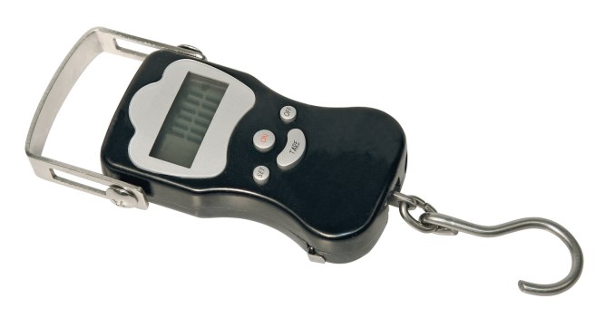 Digital Suspension Scale D ... - Albert Kerbl GmbH